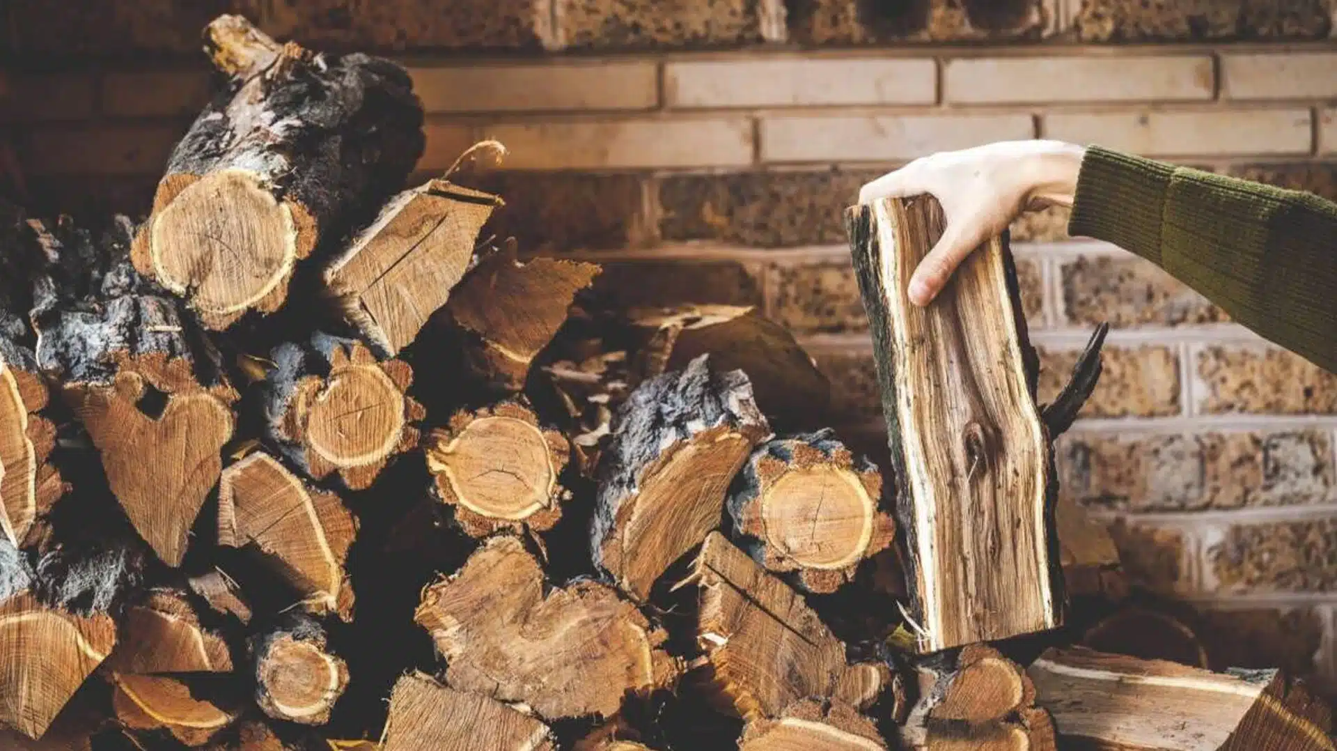 Quelles sont les différentes formes de bûches de bois ? - Eco Bois Alsace