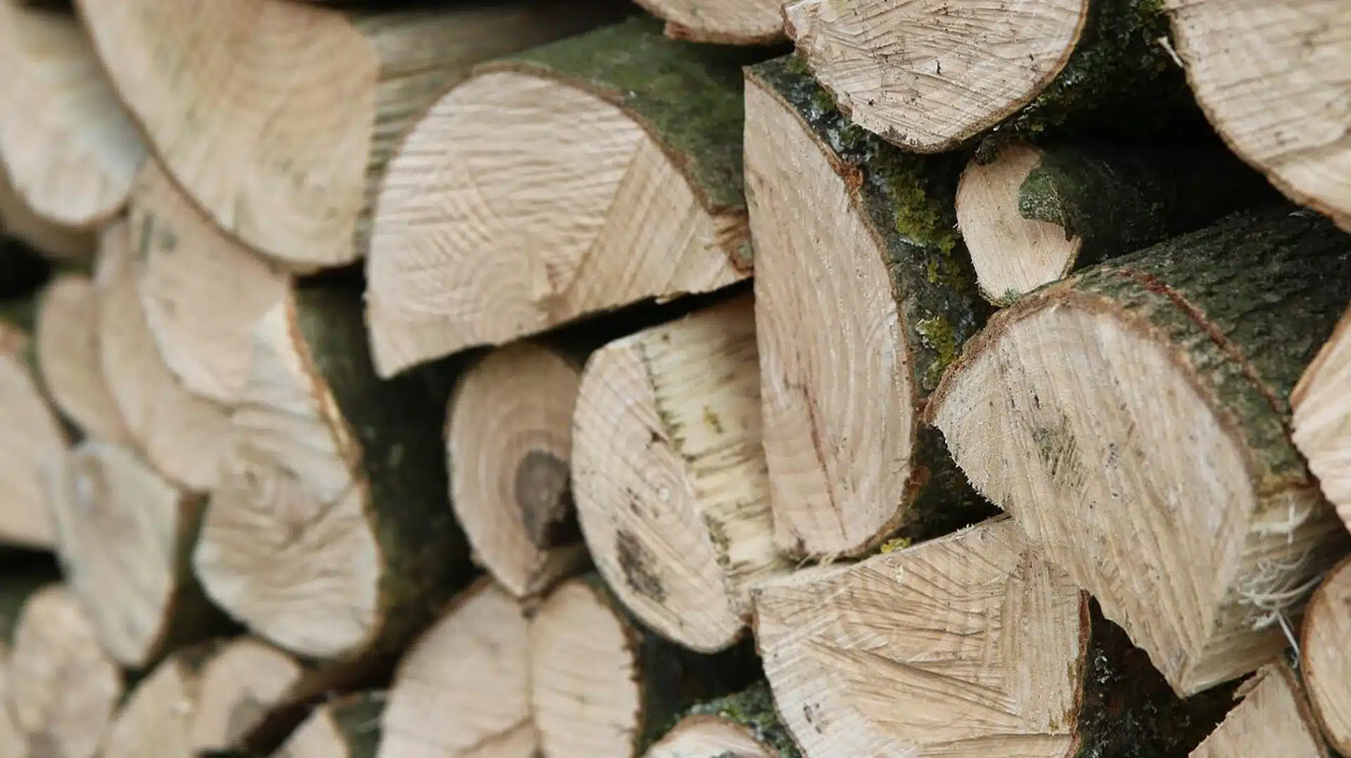 Qu’est-ce qu’un stère de bois de chauffage ? - Eco Bois Alsace